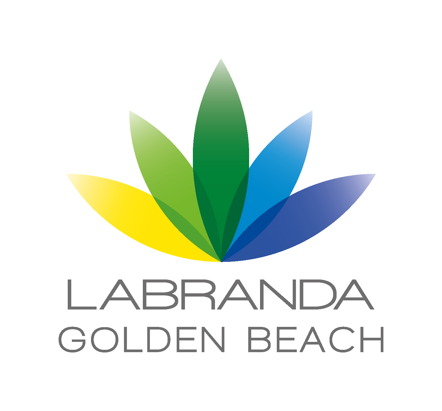 Servicio turístico COVID